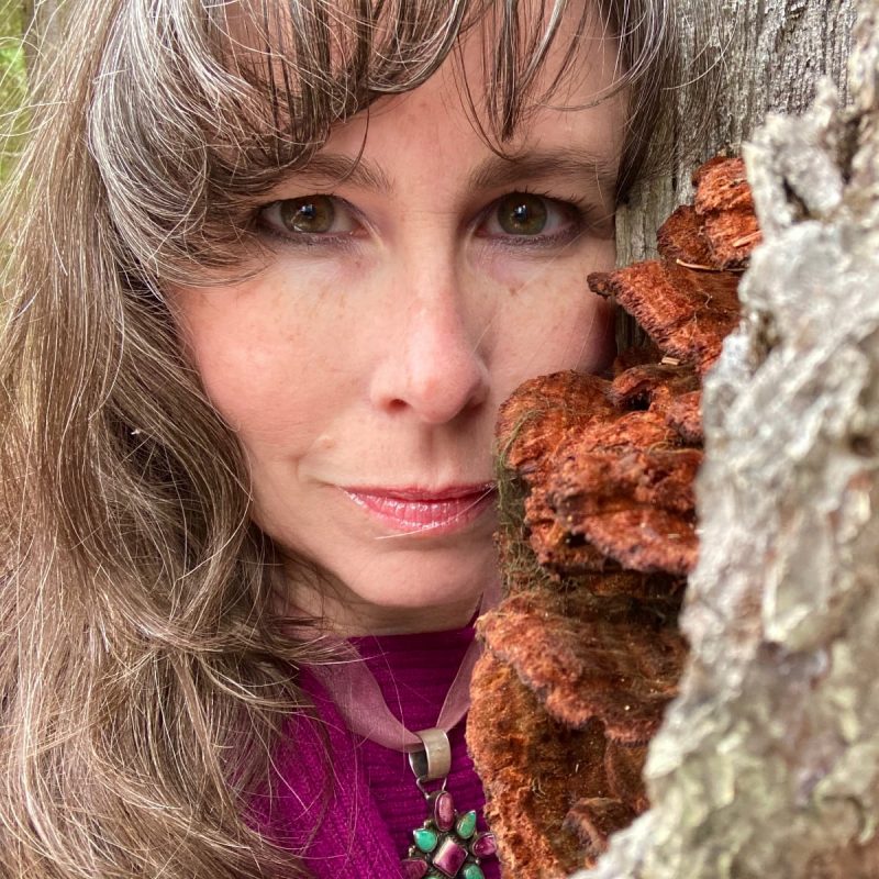 Author Interviews - Interviews with published authors